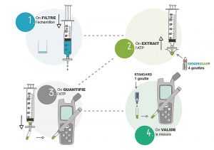 Atp bioluminescence unsolved issues